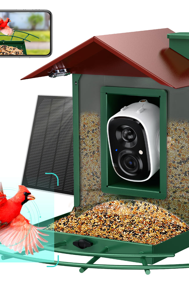 BIRD FEEDER – Osoeri